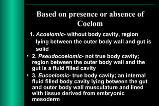 Classification and Nomenclature | PPT
