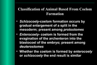 Classification and Nomenclature | PPT