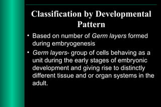 Classification and Nomenclature | PPT