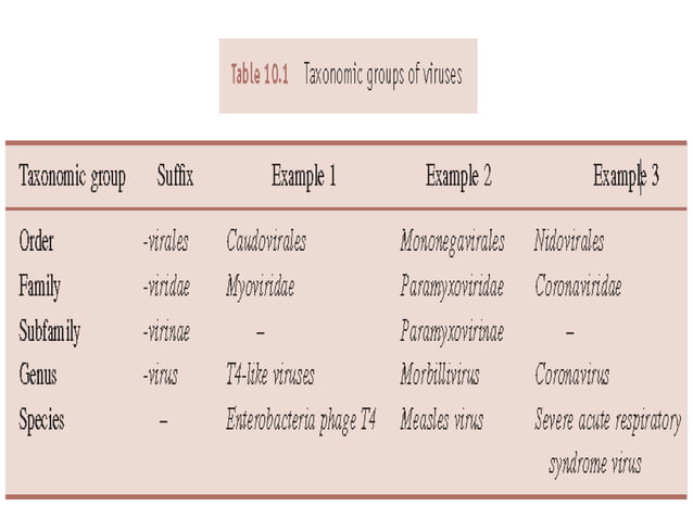 Classification and nomenclature of different groups of viruses | PPTX
