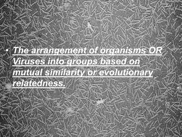 Classification and nomenclature of different groups of viruses | PPTX