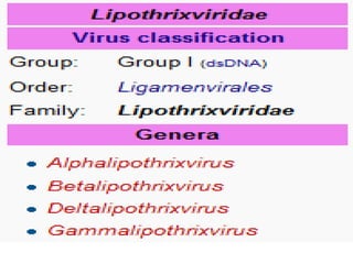 Classification and nomenclature of different groups of viruses | PPTX