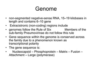 Classification and nomenclature of different groups of viruses | PPTX