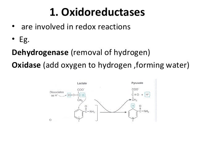 Classification of enzymes