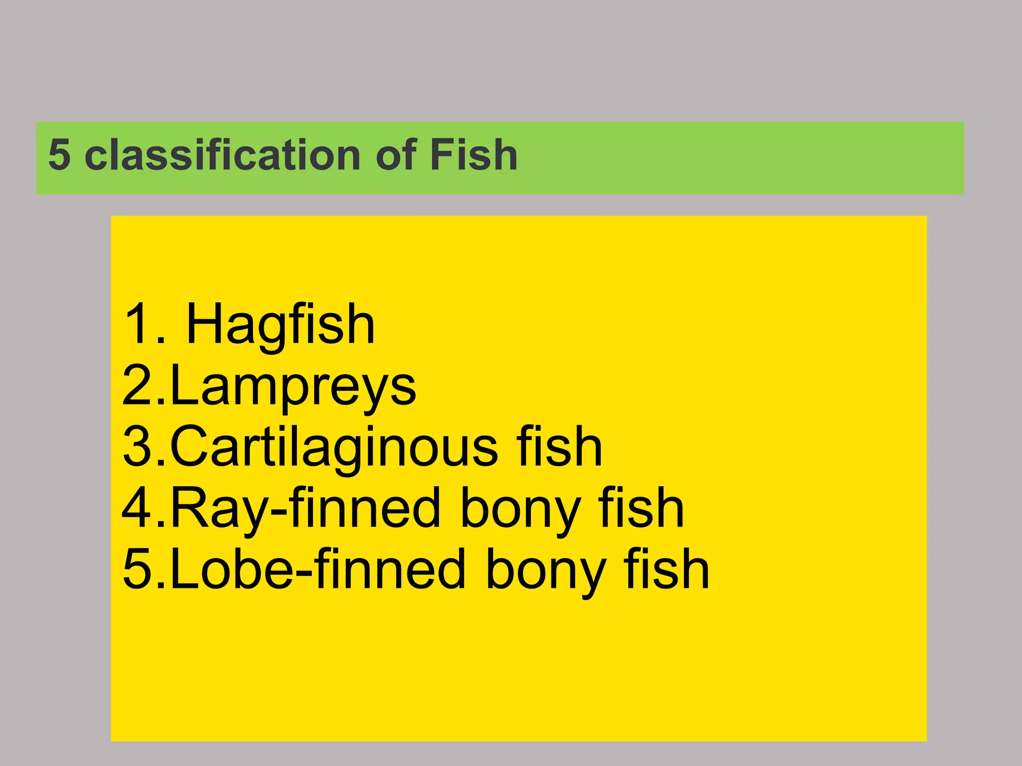 Classification and Nomenclature of Fish-2B.pptx