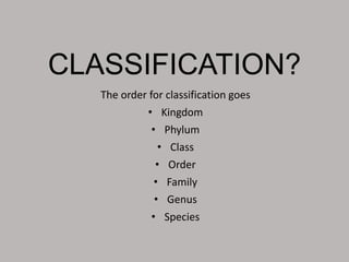 Classification and Nomenclature of Fish-2B.pptx