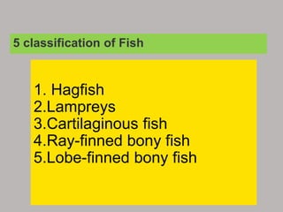 Classification and Nomenclature of Fish-2B.pptx