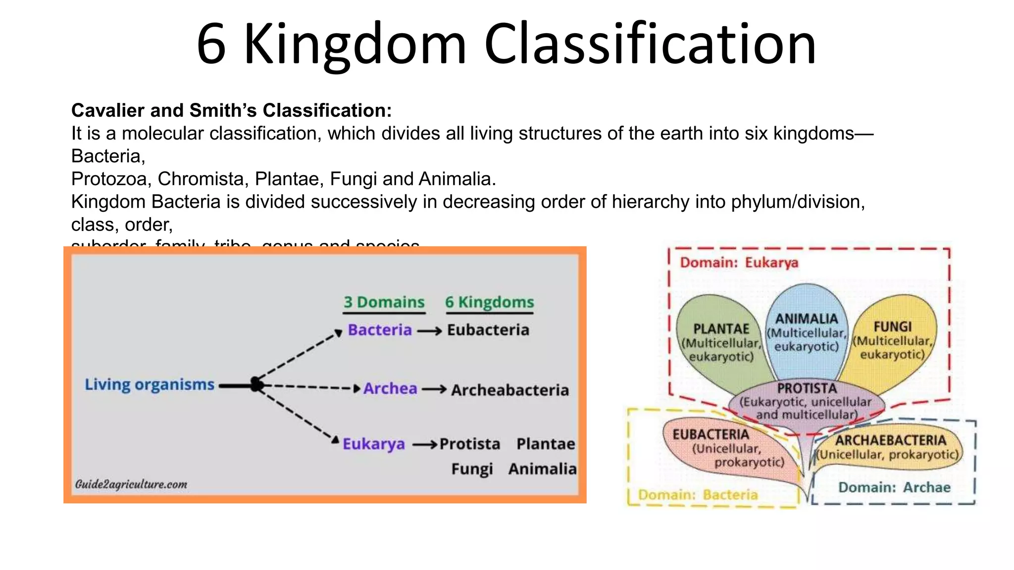 Classification and Nomenclature of Microorganisms.pptx | Biological ...