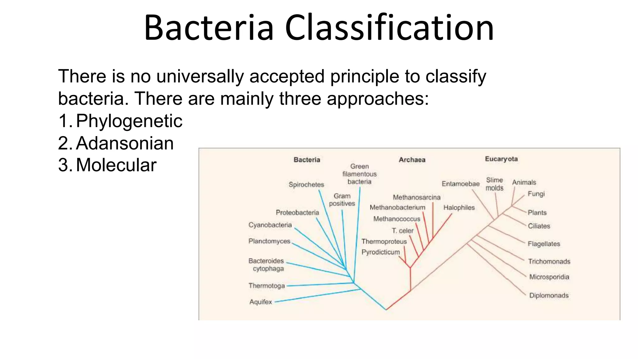 Classification and Nomenclature of Microorganisms.pptx