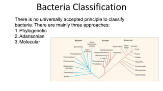 Classification and Nomenclature of Microorganisms.pptx