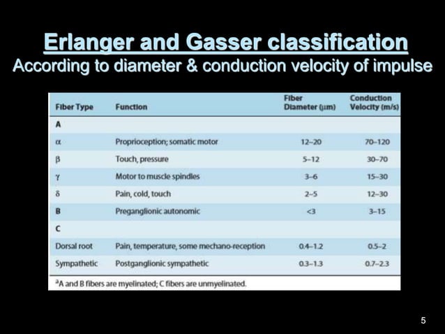NERVE PHYSIOLOGY- CLASSIFICATION & PROPERTIES OF NERVE FIBERS | PPT