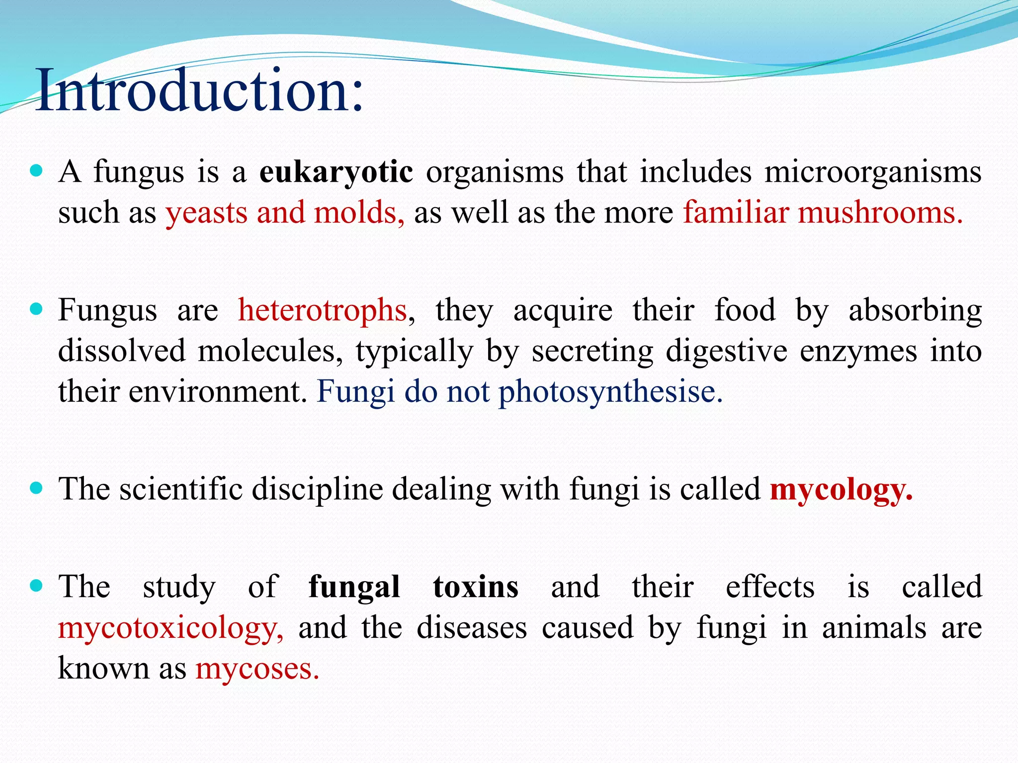 Classification and reproduction of fungi | PPTX