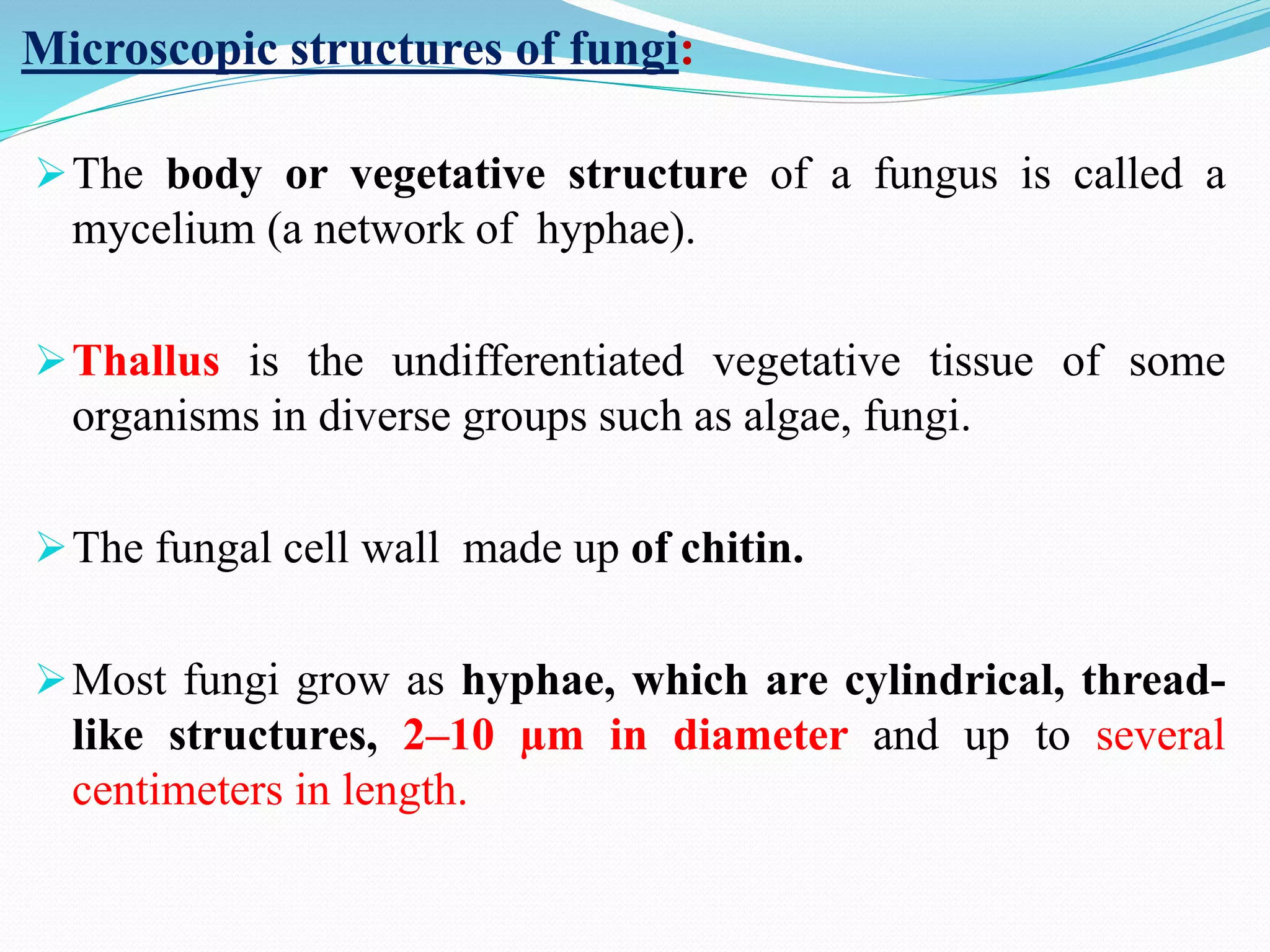 Classification and reproduction of fungi | PPTX