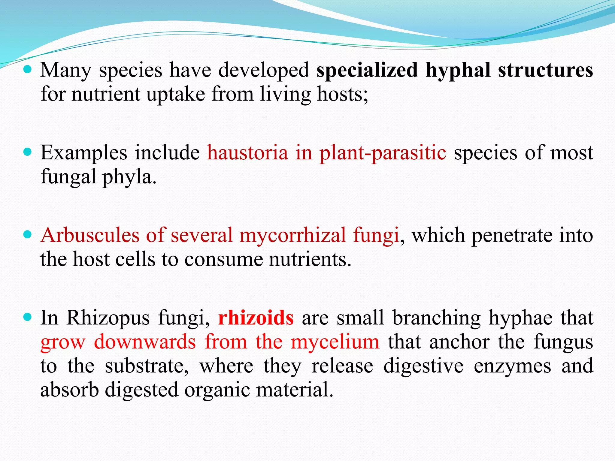 Classification and reproduction of fungi | PPTX