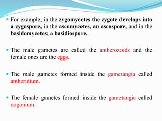 Classification and reproduction of fungi | PPTX | Infertility ...
