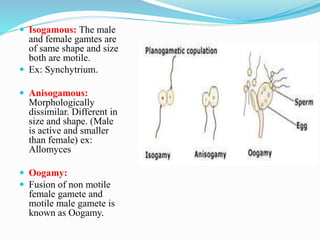 Classification and reproduction of fungi | PPTX
