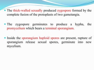 Classification and reproduction of fungi | PPTX