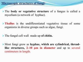 Classification and reproduction of fungi | PPTX