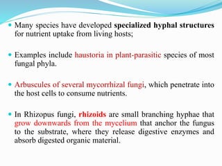 Classification and reproduction of fungi | PPTX