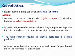 Classification and reproduction of fungi | PPTX