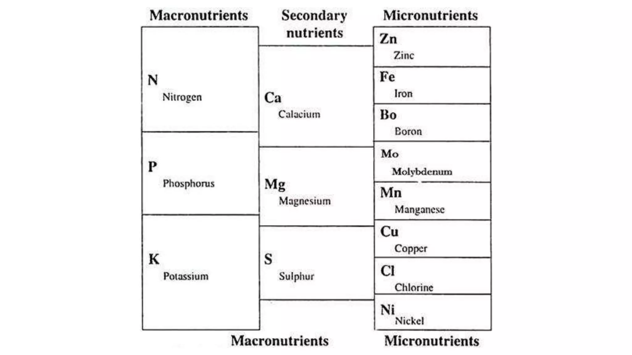 Classification and Role of Plant Nutrients | PPTX