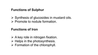 Classification and Role of Plant Nutrients | PPTX