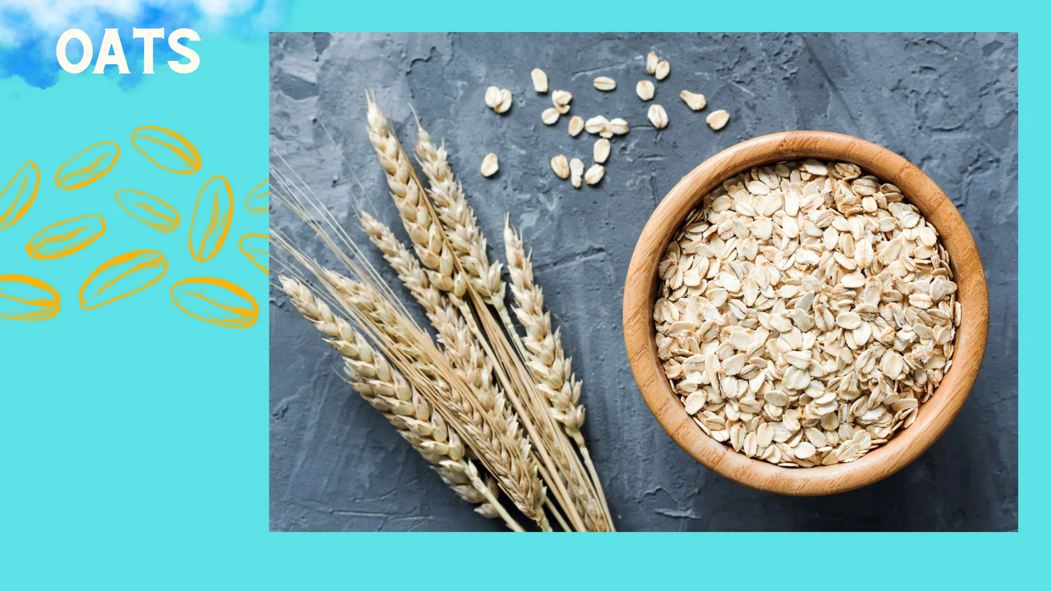 Classification and Sources of Starch (1).pptx