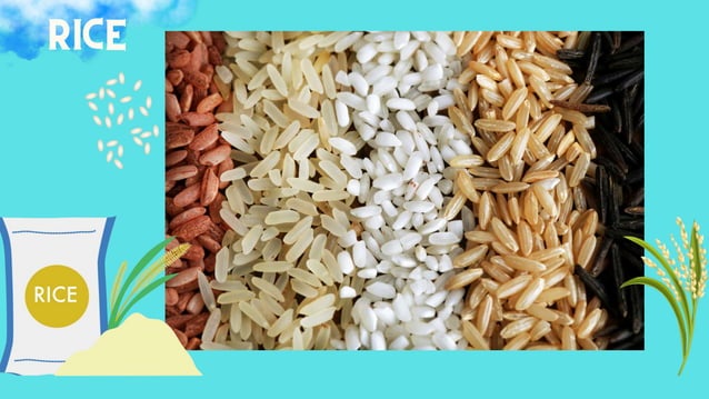 Classification and Sources of Starch (1).pptx