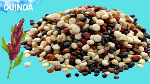 Classification and Sources of Starch (1).pptx