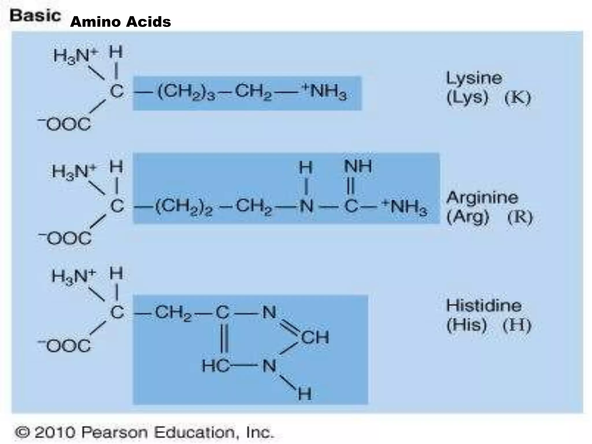 Classification and Structure of Standard Amino Acids | PPTX