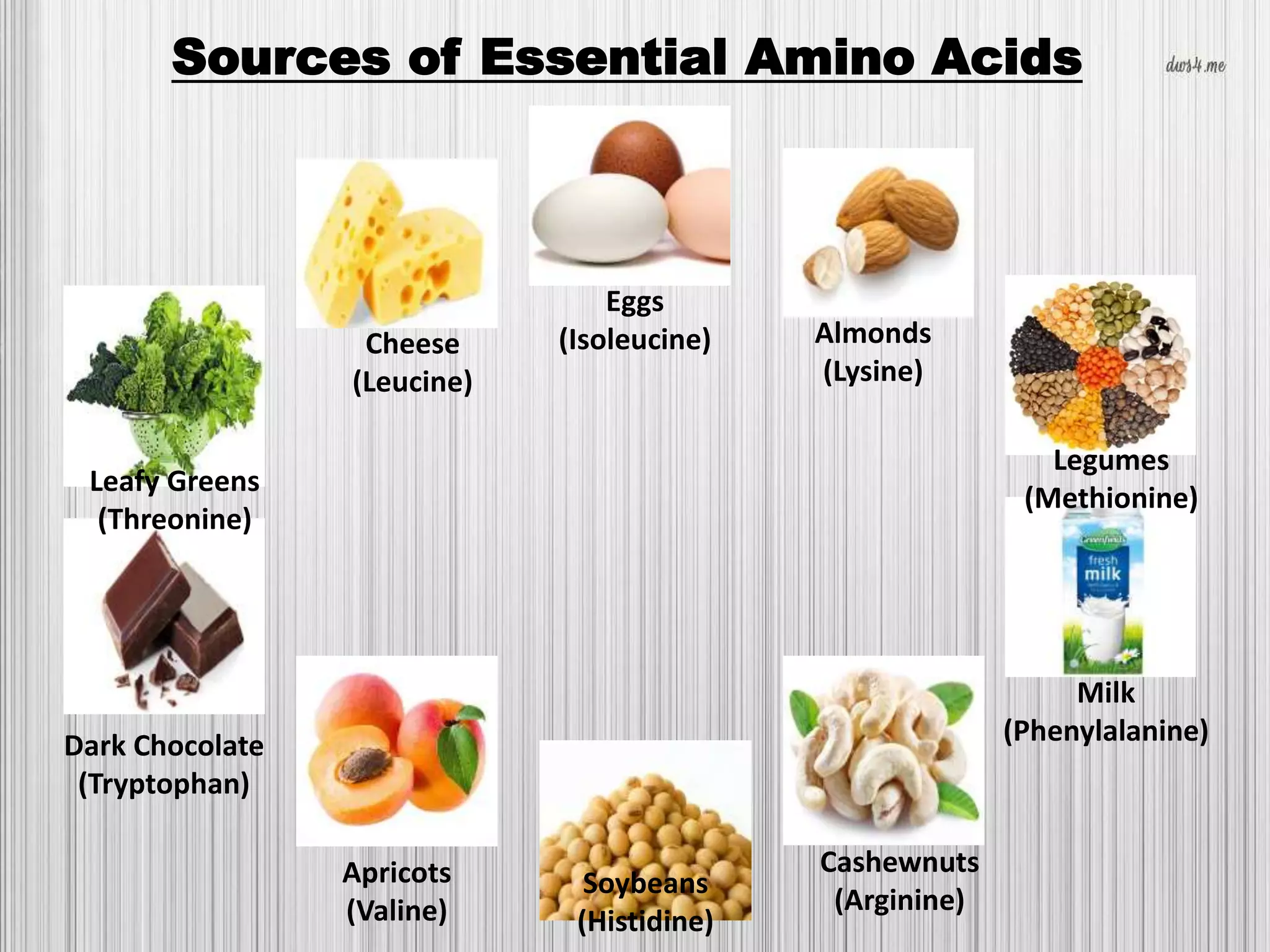 Classification and Structure of Standard Amino Acids | PPTX