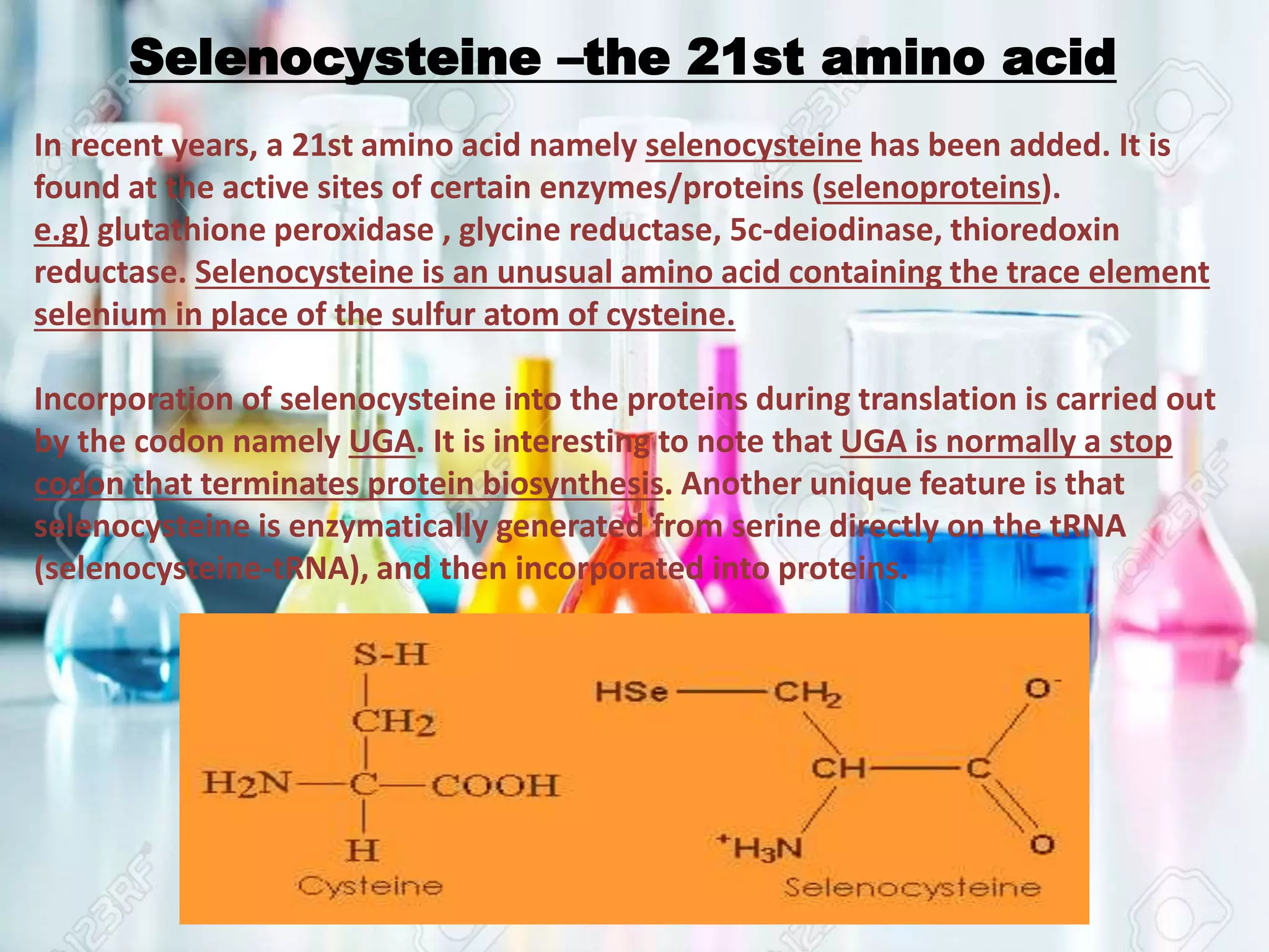 Classification and Structure of Standard Amino Acids | PPTX