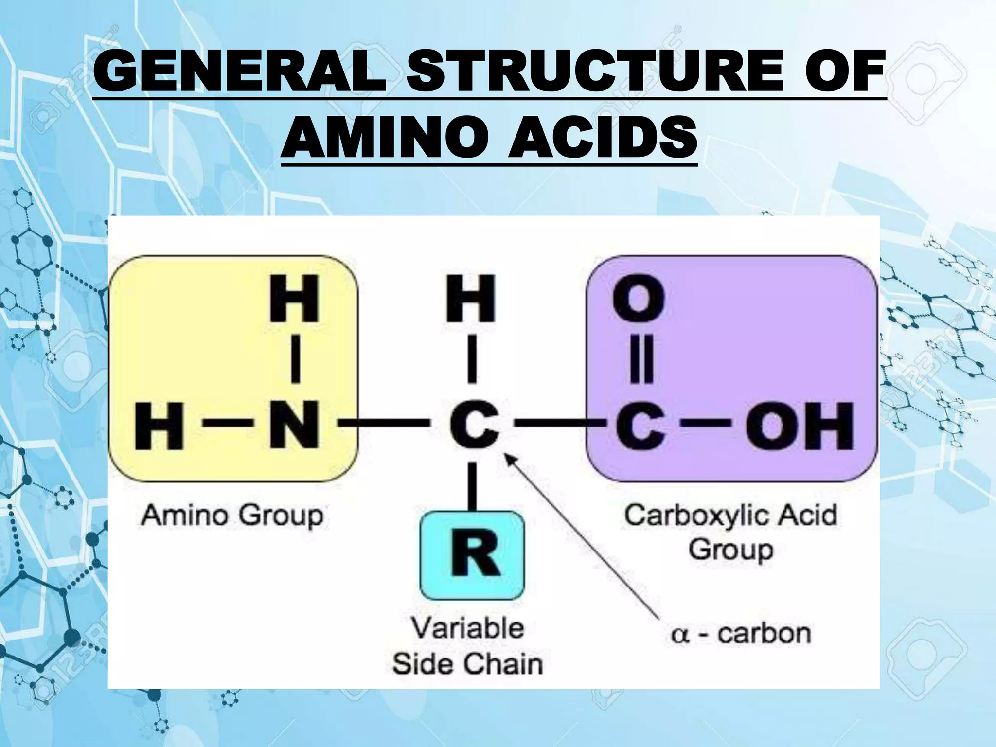 Classification and Structure of Standard Amino Acids | PPTX