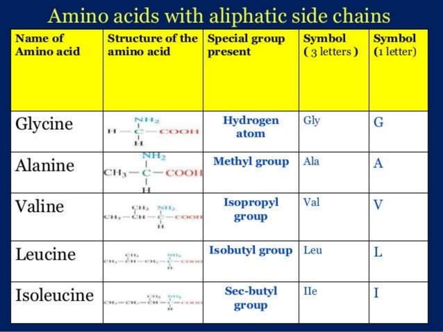 Classification and Structure of Standard Amino Acids | PPTX | Nutrition ...