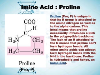Classification and Structure of Standard Amino Acids | PPTX