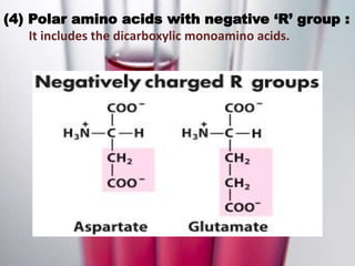 Classification and Structure of Standard Amino Acids | PPTX