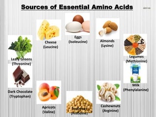 Classification and Structure of Standard Amino Acids | PPTX