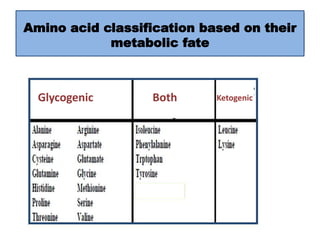 Classification and Structure of Standard Amino Acids | PPTX