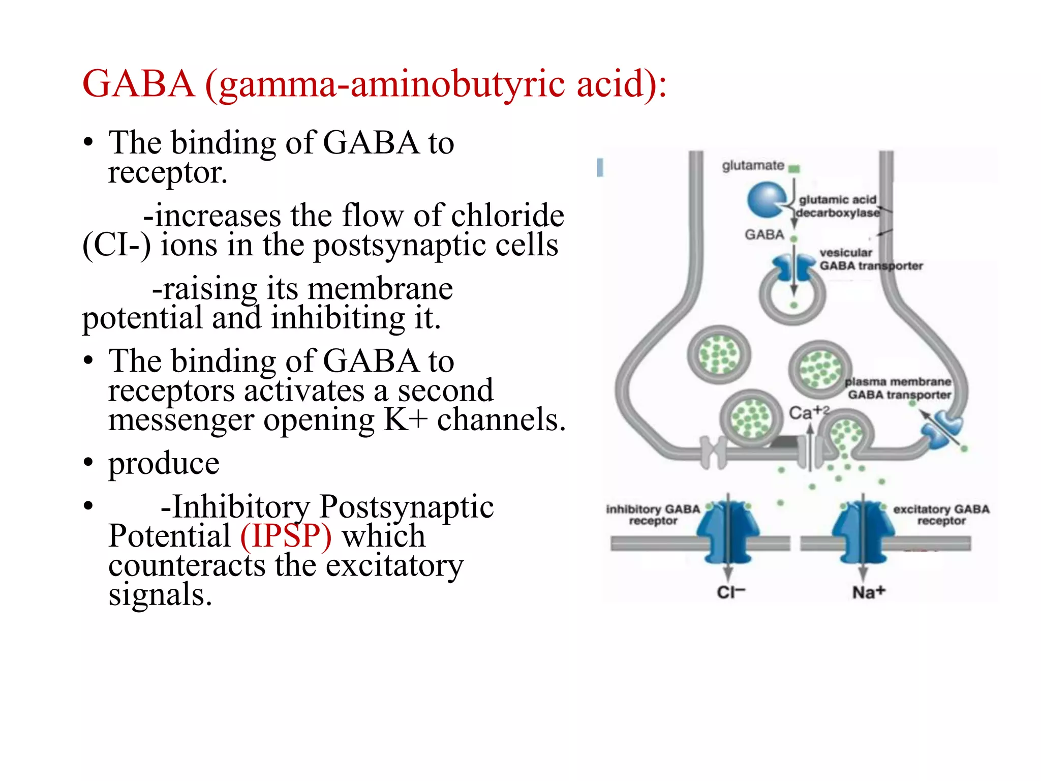 Classification and structure of synapses | PPTX