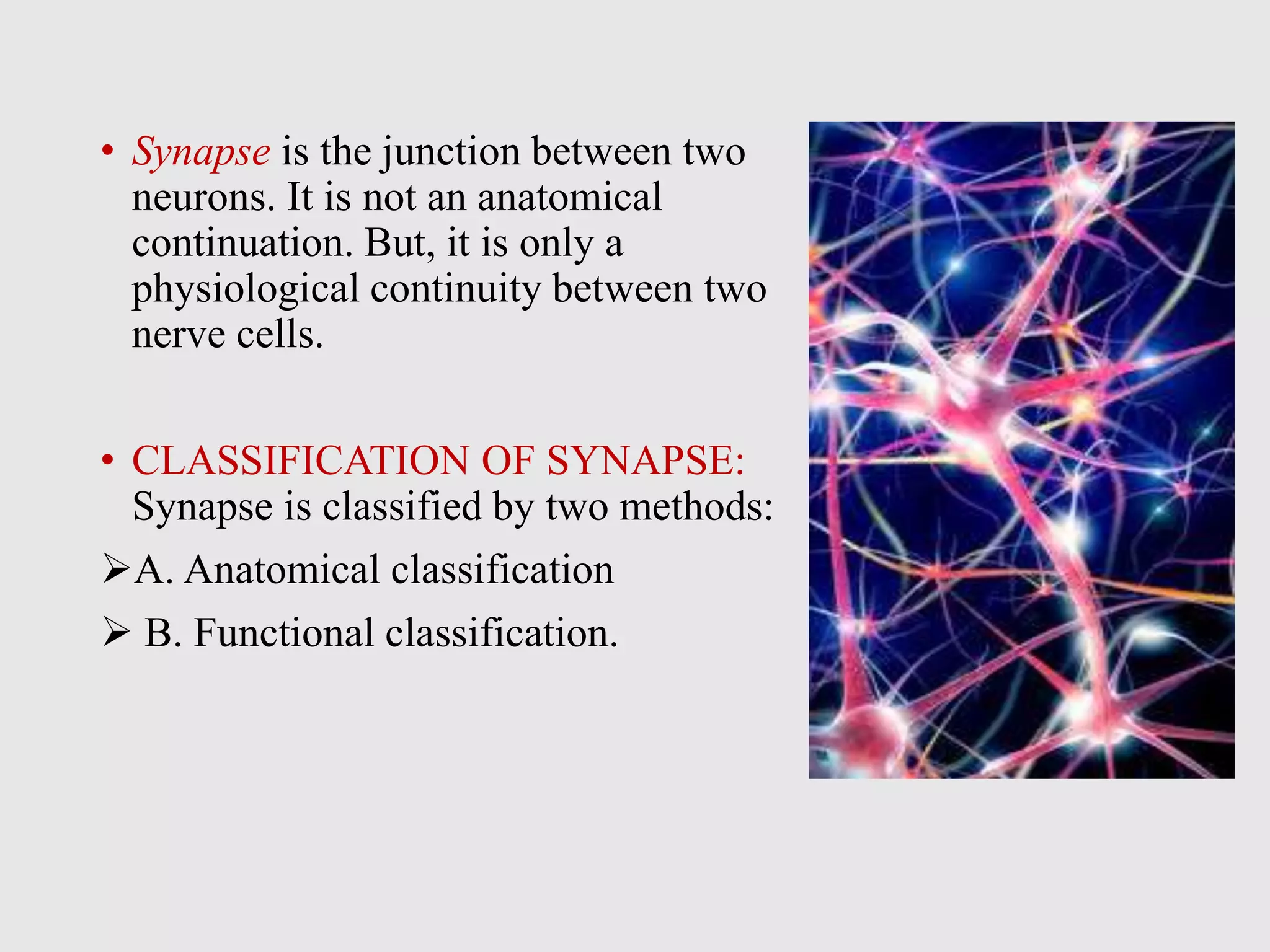 Classification and structure of synapses | PPTX