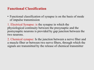 Classification and structure of synapses | PPTX
