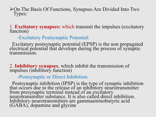 Classification and structure of synapses | PPTX