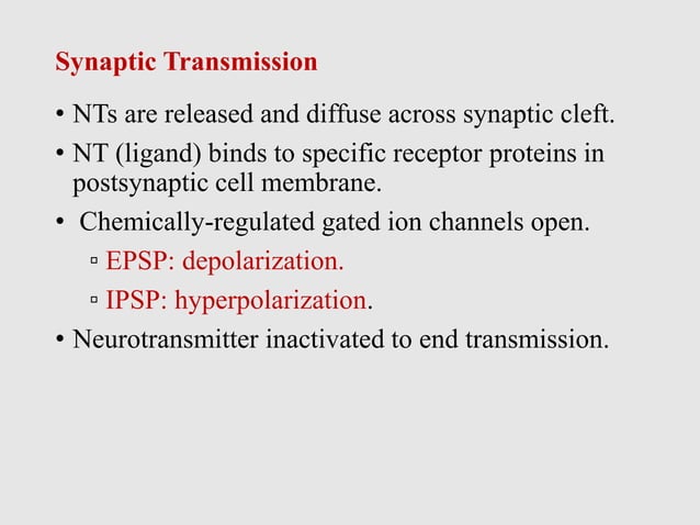 Classification And Structure Of Synapses Pptx