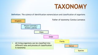 Classification and Taxonomy | PPTX