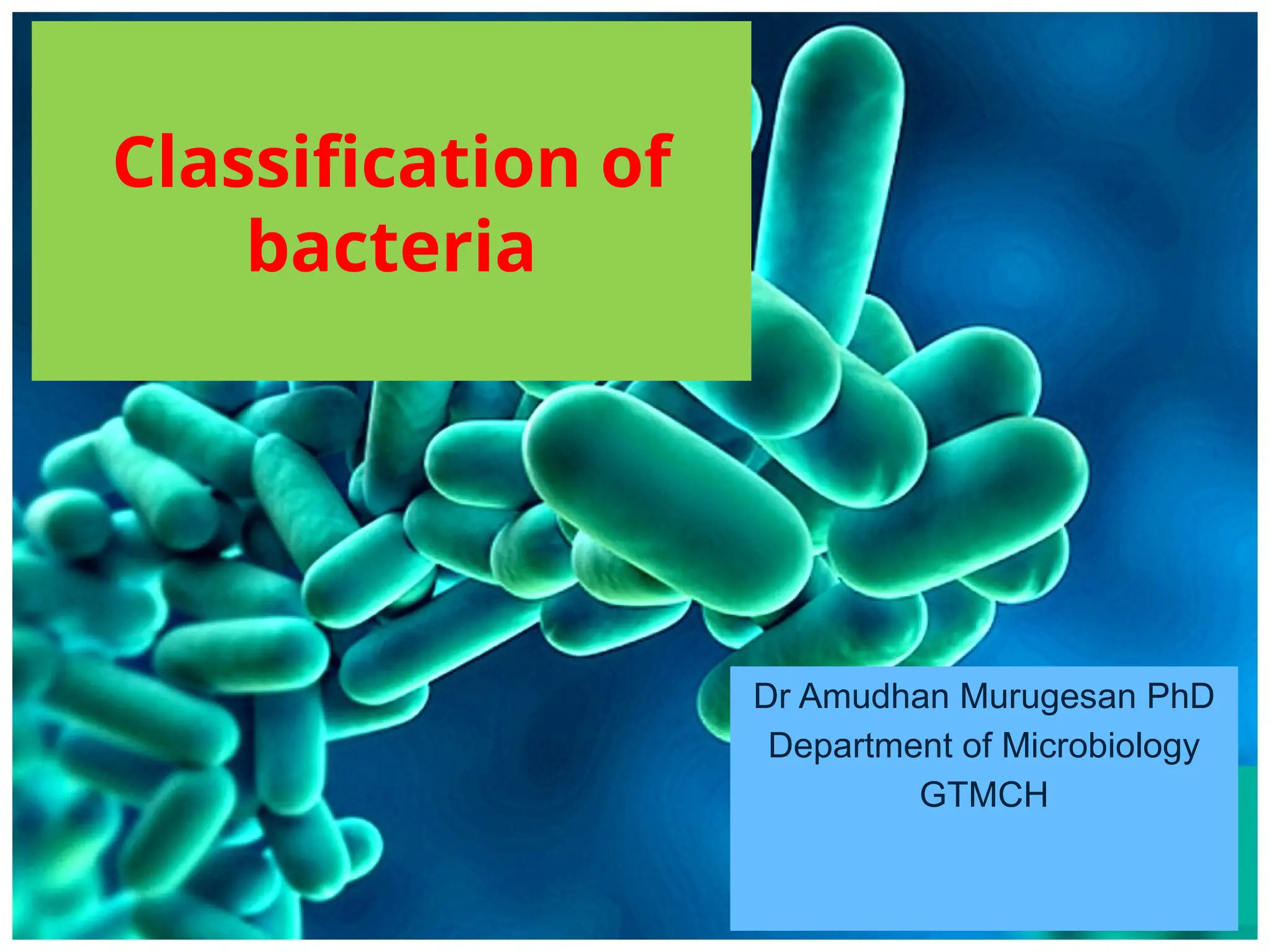 classification and nomenclature of bacteria, viruses, fungi and ...
