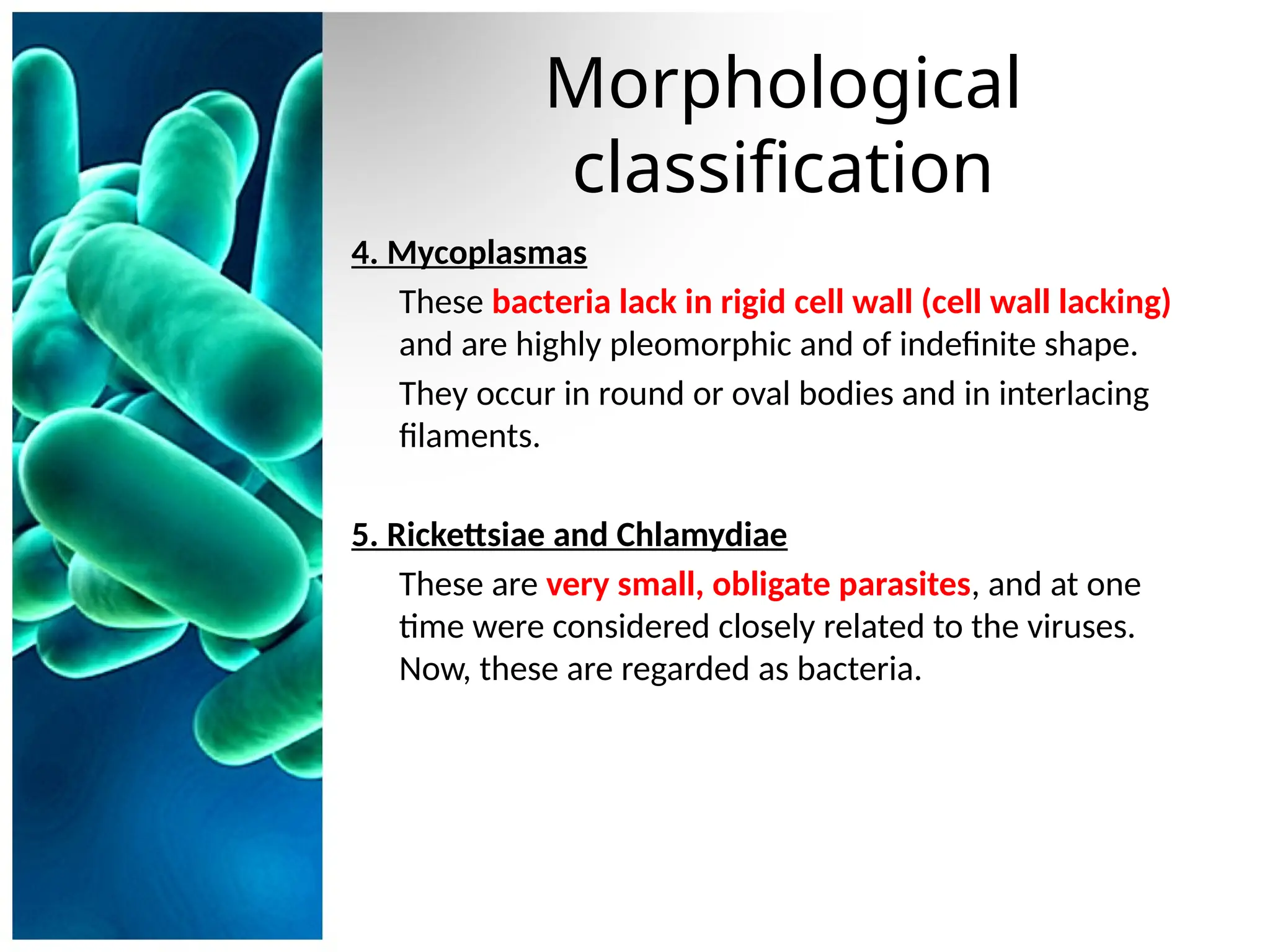 classification and nomenclature of bacteria, viruses, fungi and ...