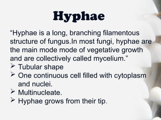 classification and nomenclature of bacteria, viruses, fungi and ...