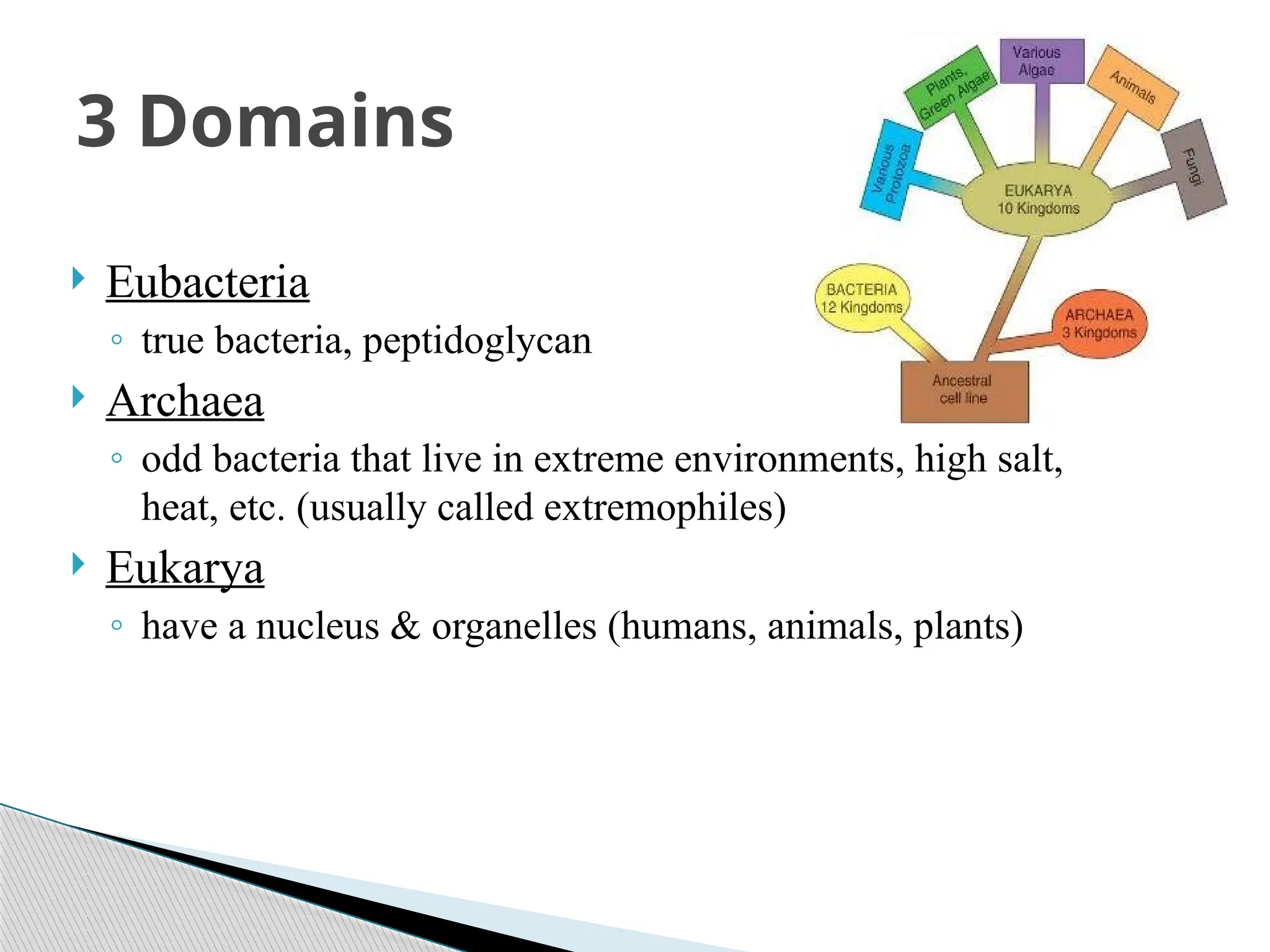 Classification and taxonomy of Microorganisms.pptx