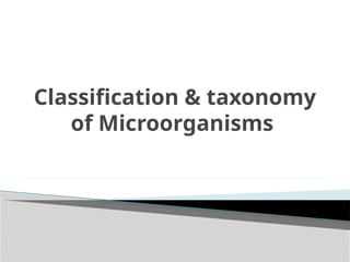 Classification and taxonomy of Microorganisms.pptx