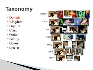 Classification and taxonomy of Microorganisms.pptx